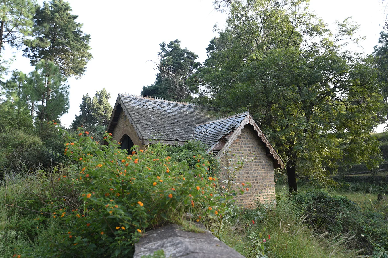 Why Barog should be on your bucket list - Meraki Holiday Homes